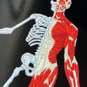 Half Skeleton Half Muscle Anatomical Figure Embroidery A6 Print - Etsy