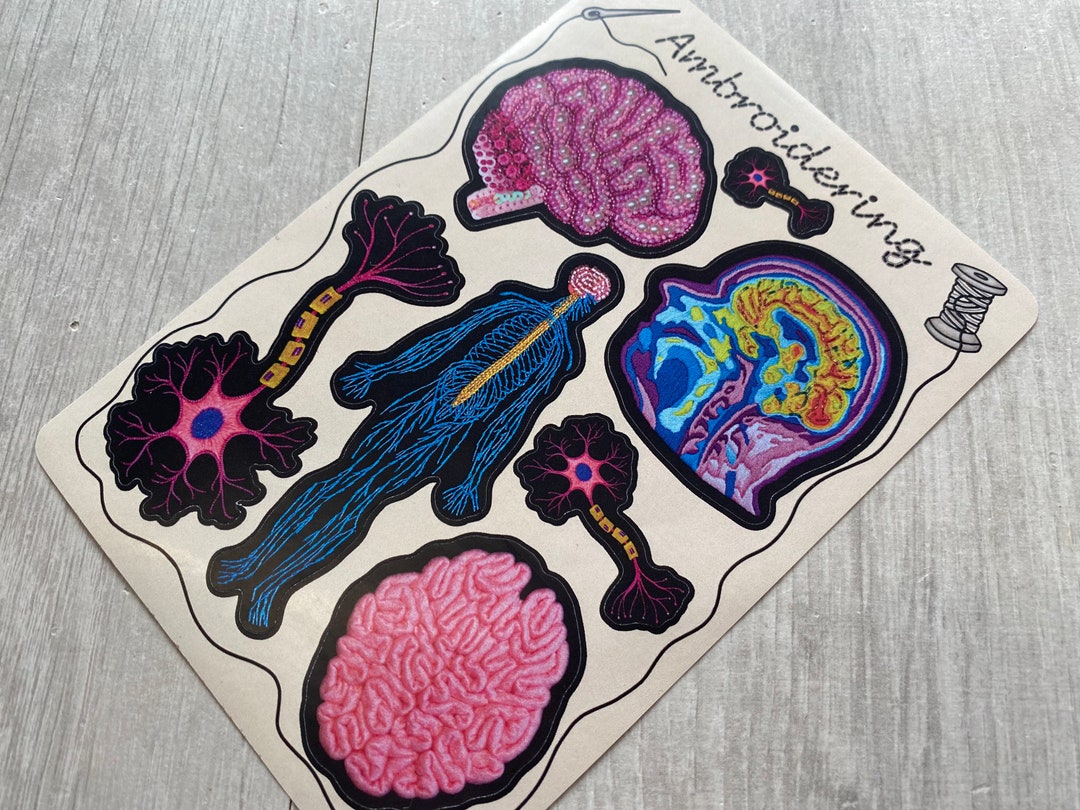 Neurological Anatomical A6 Sticker Sheet. Embroidery, Neuron, Brain ...
