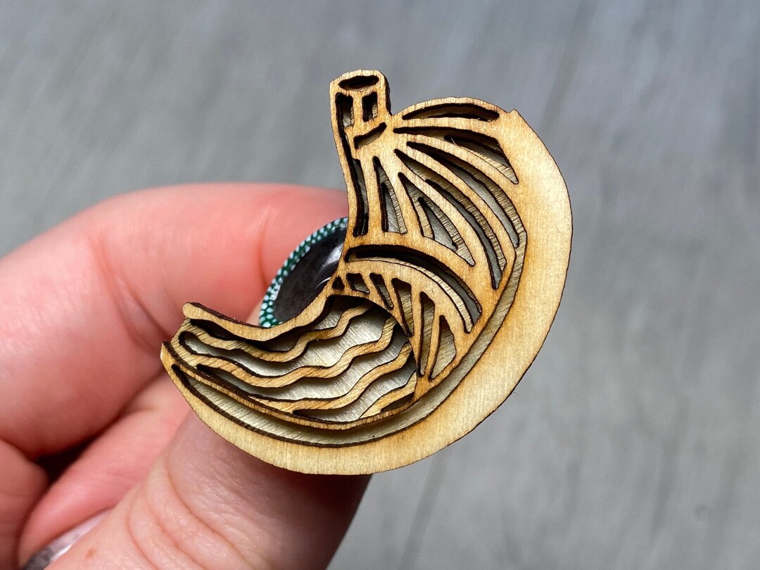 Stomach. Anatomical Wooden Pin Badge Brooch. Laser Cut, Birch, Anatomy ...