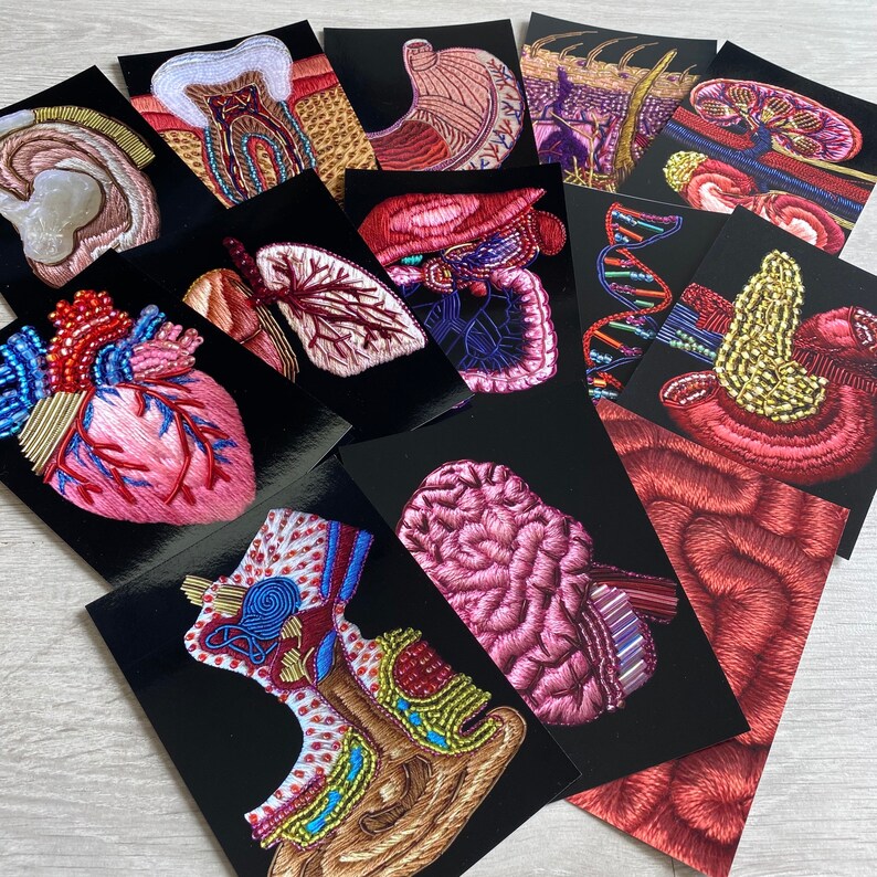 Heart Anatomy Embroidery A6 Print - Etsy