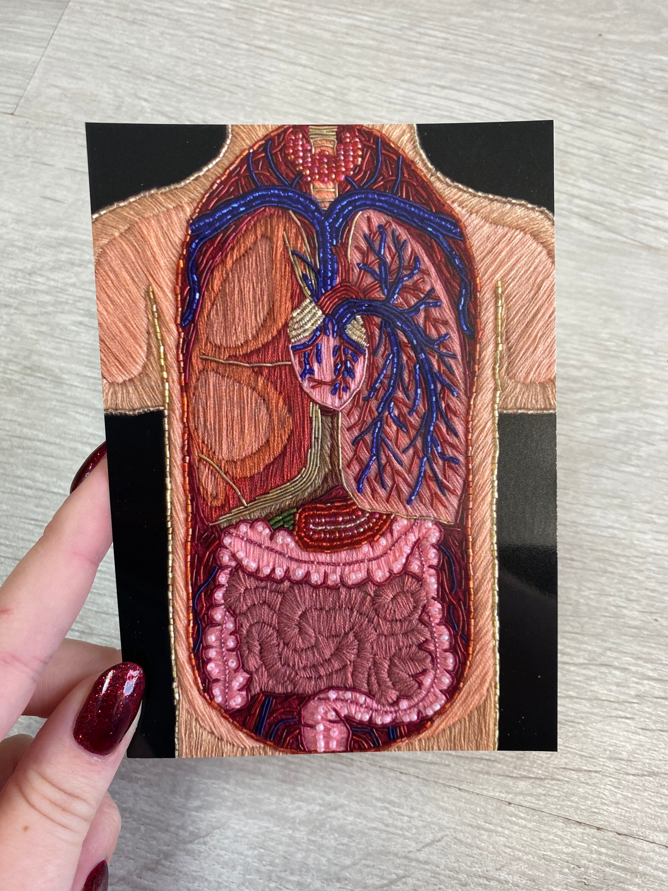 Open Torso Organ Anatomy Embroidery A6 Print - Etsy