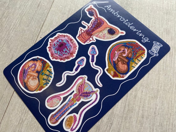 Reproductive Anatomical A6 Sticker Sheet. Embroidery Uterus - Etsy