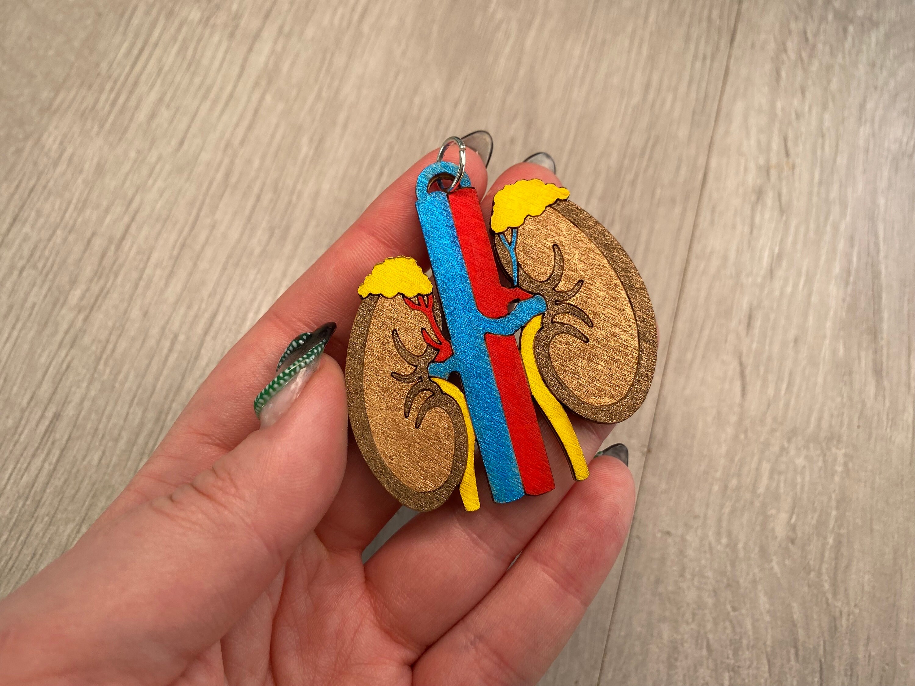 Kidneys Anatomical DIY Paint Your Own, Wooden Christmas Decoration ...