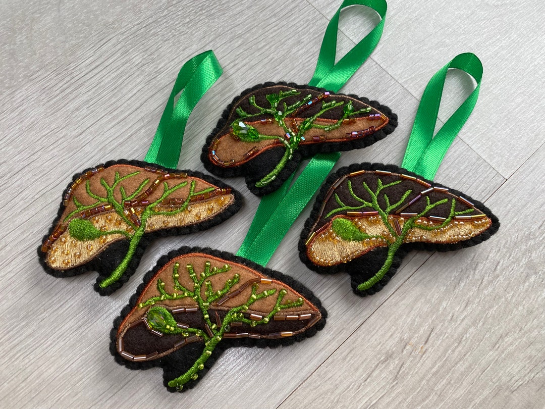 Liver Anatomy Embroidered Hanging Decoration - Etsy