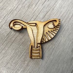 Uterus. Anatomical Wooden Pin Badge Brooch. Laser Cut, Birch, Anatomy ...