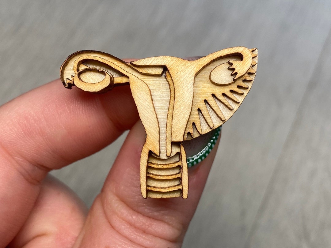 Uterus. Anatomical Wooden Pin Badge Brooch. Laser Cut, Birch, Anatomy ...