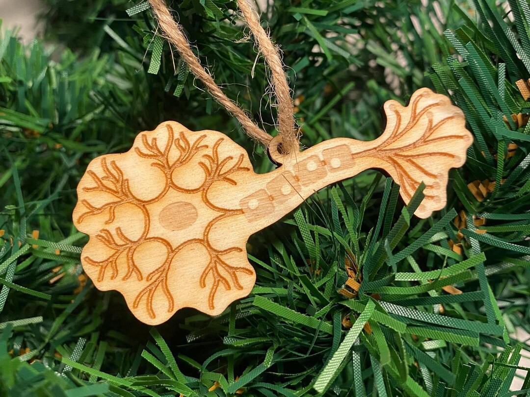 Neuron Wooden Christmas Ornament, Laser Cut, Made to Order. Brain, Cell, Neurological, Anatomy ...
