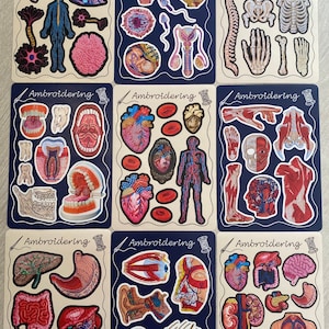 Neurological Anatomical A6 Sticker Sheet. Embroidery, Neuron, Brain ...
