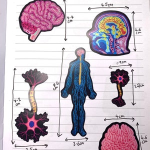 Neurological Anatomical A6 Sticker Sheet. Embroidery, Neuron, Brain ...