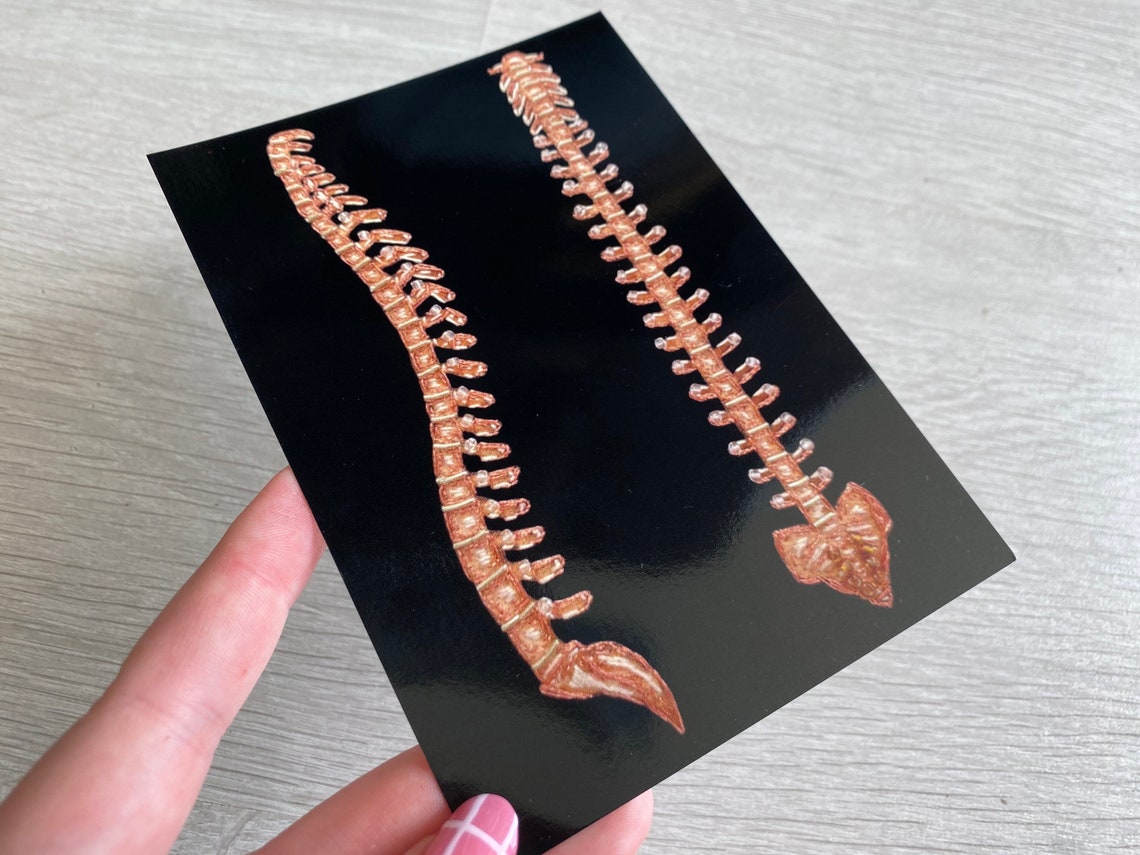 Spine Embroidery A6 Print - Etsy