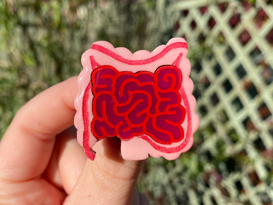 Intestines Laser Cut Anatomical Pin Badge. Anatomy, Acrylic, Organ, GI ...