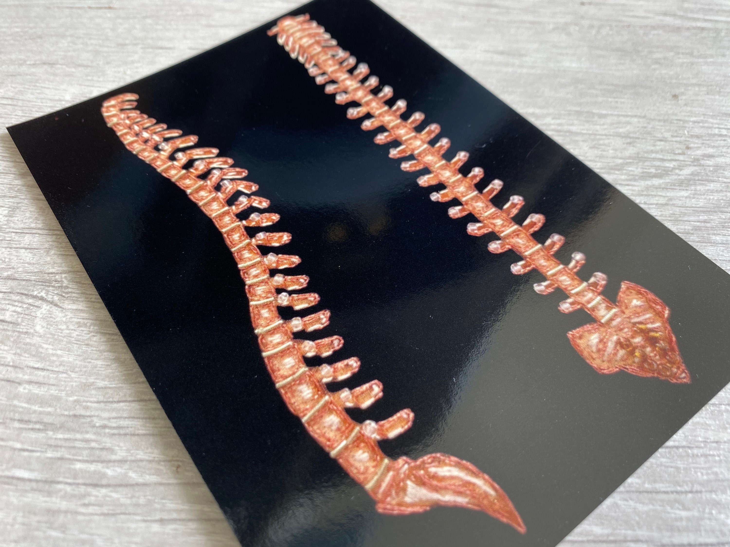 Spine Embroidery A6 Print | Etsy