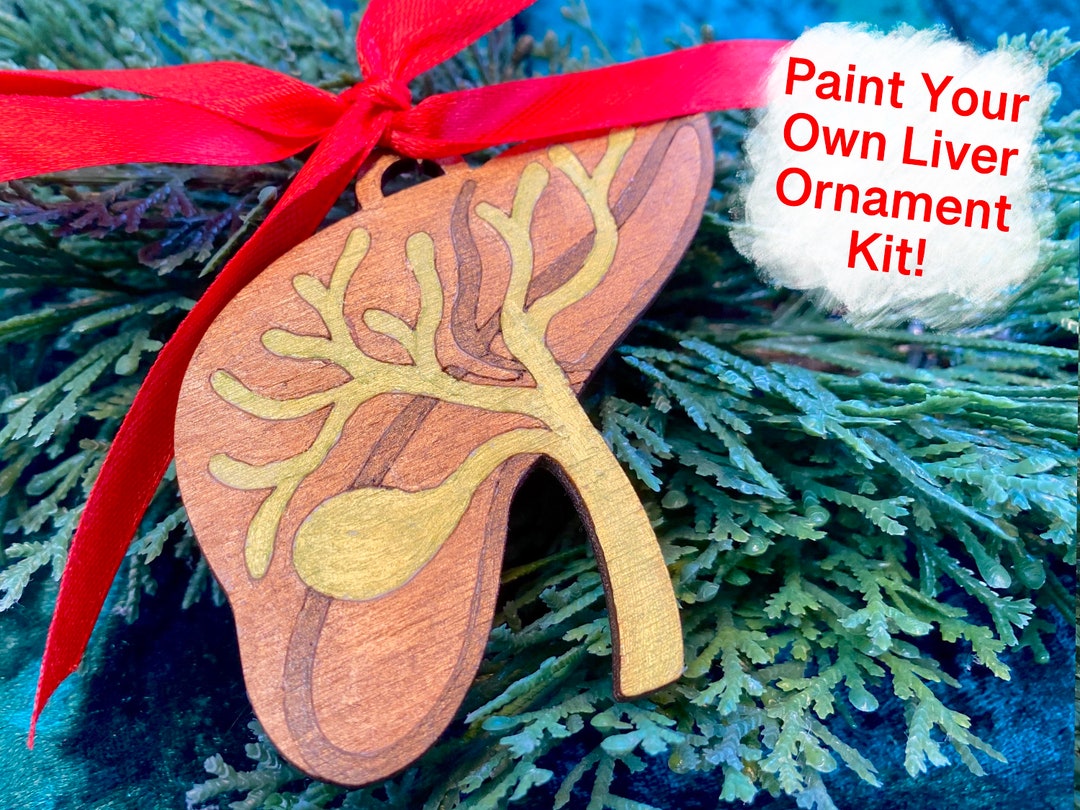 Liver Anatomy DIY Paint Your Own Wooden Christmas Decoration - Etsy