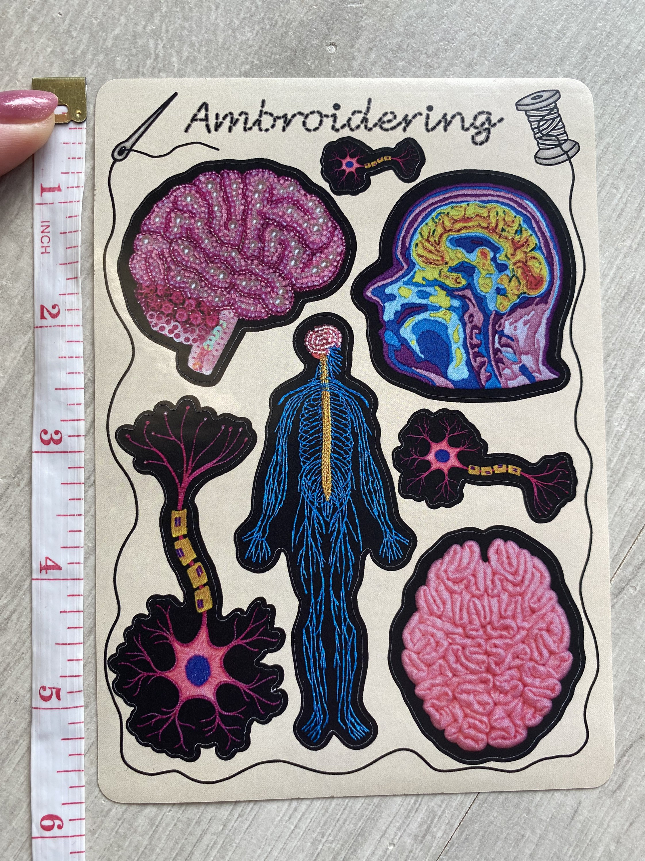 Neurological Anatomical A6 Sticker Sheet. Embroidery Neuron - Etsy UK