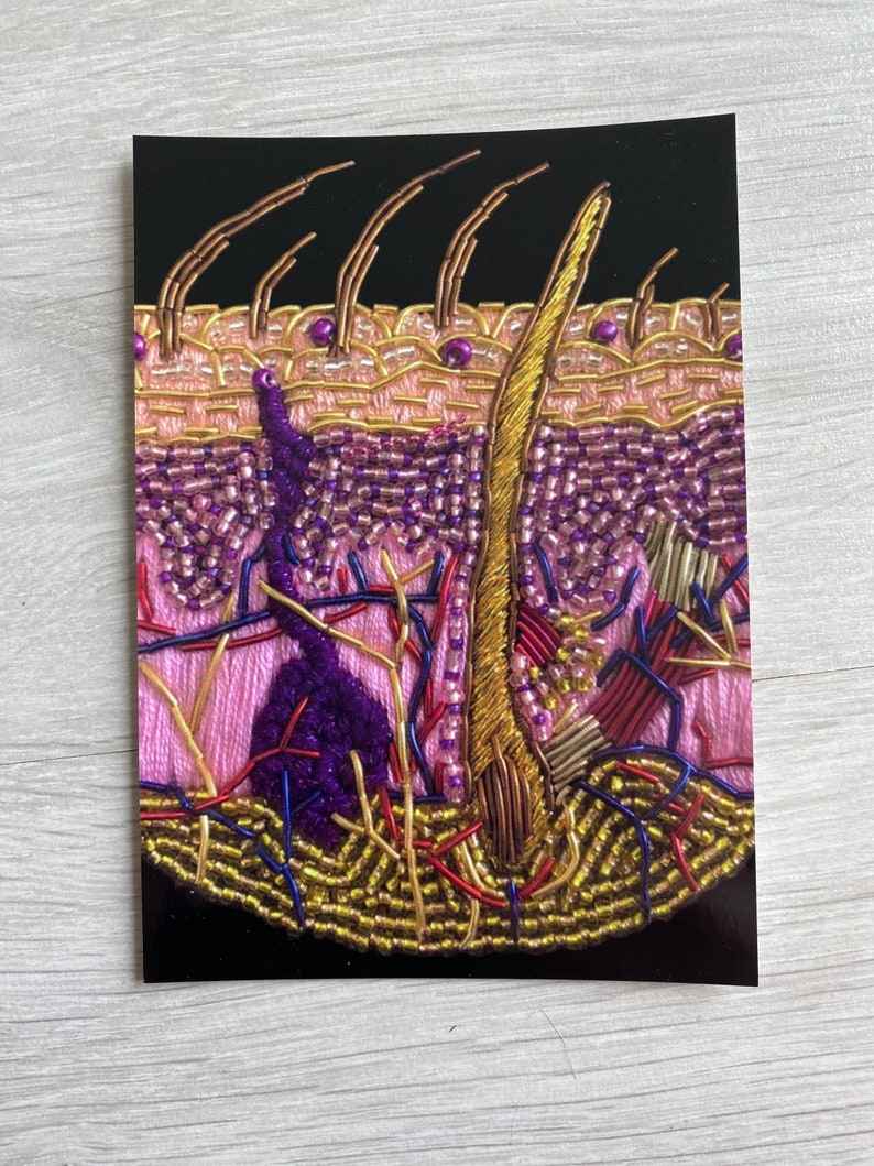 Skin Anatomy Embroidery A6 Print | Etsy