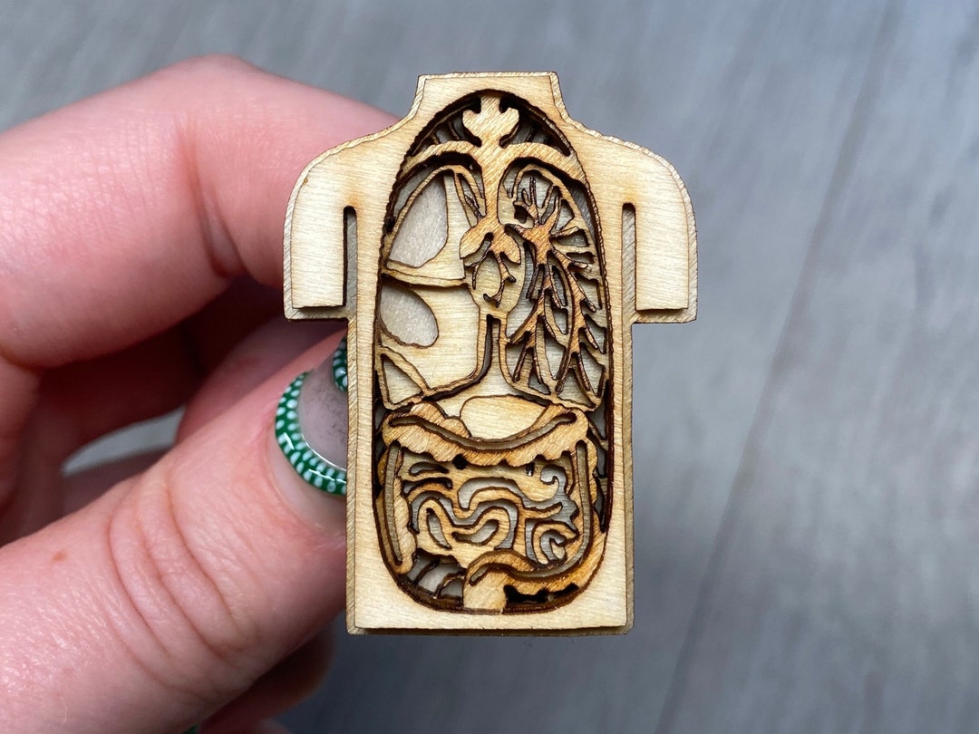 Open Torso Organs. Anatomical Wooden Pin Badge Brooch. Laser Cut, Birch ...