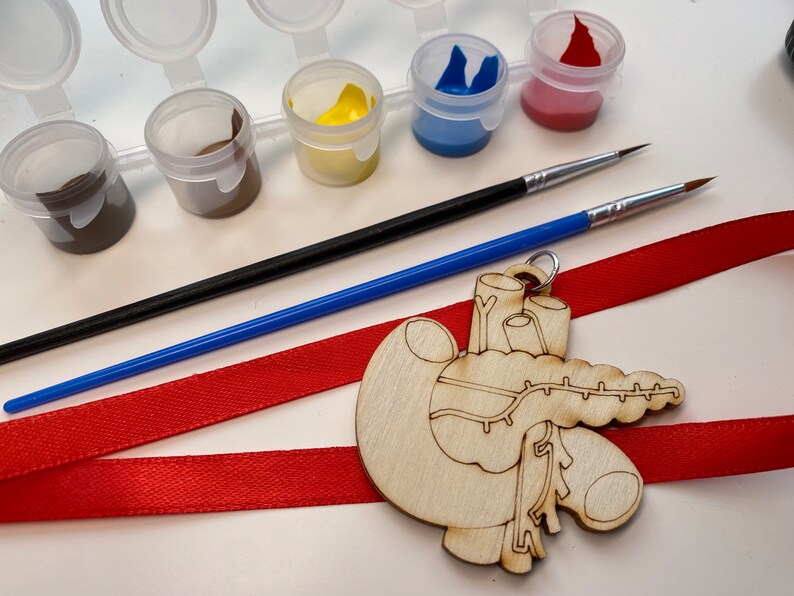 Pancreas Anatomy DIY Paint Your Own, Wooden Christmas Decoration ...