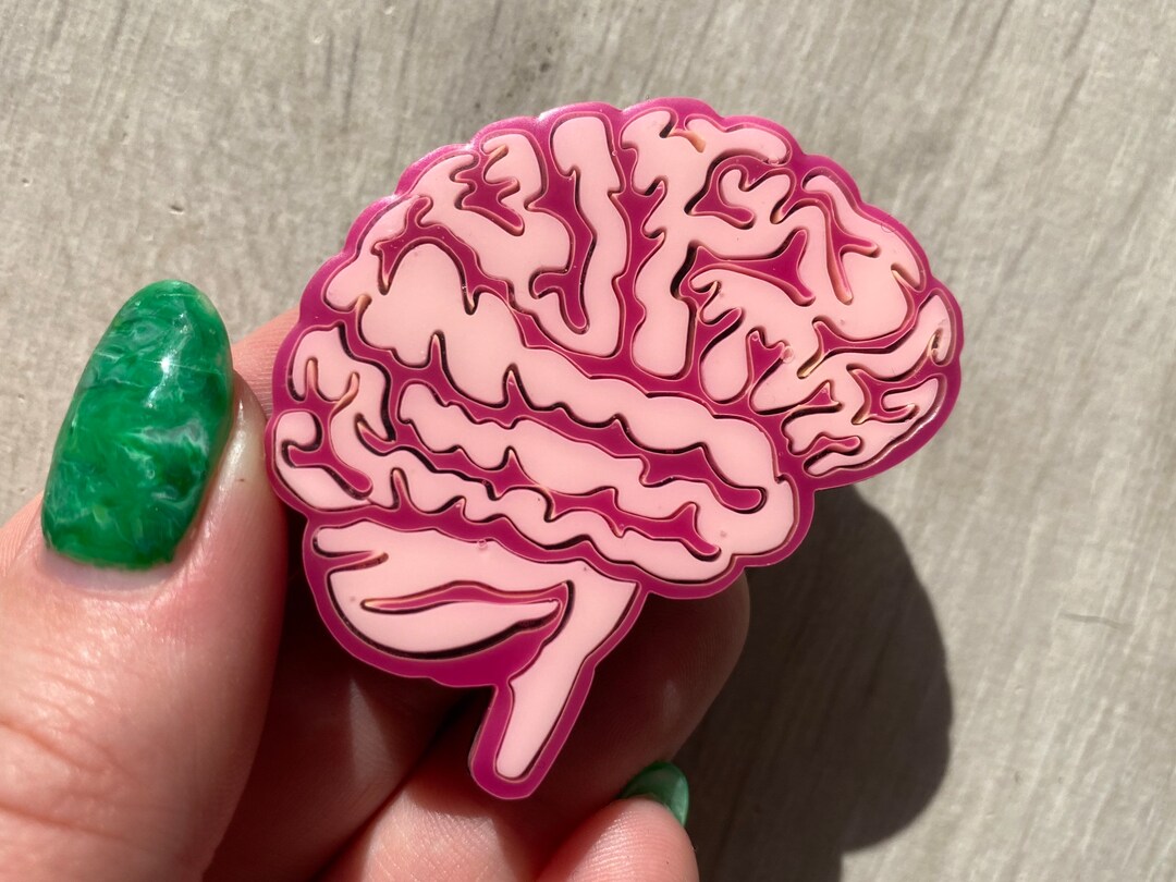 Brain Laser Cut Anatomical Pin Badge. Anatomy, Acrylic, Wood, Organ ...