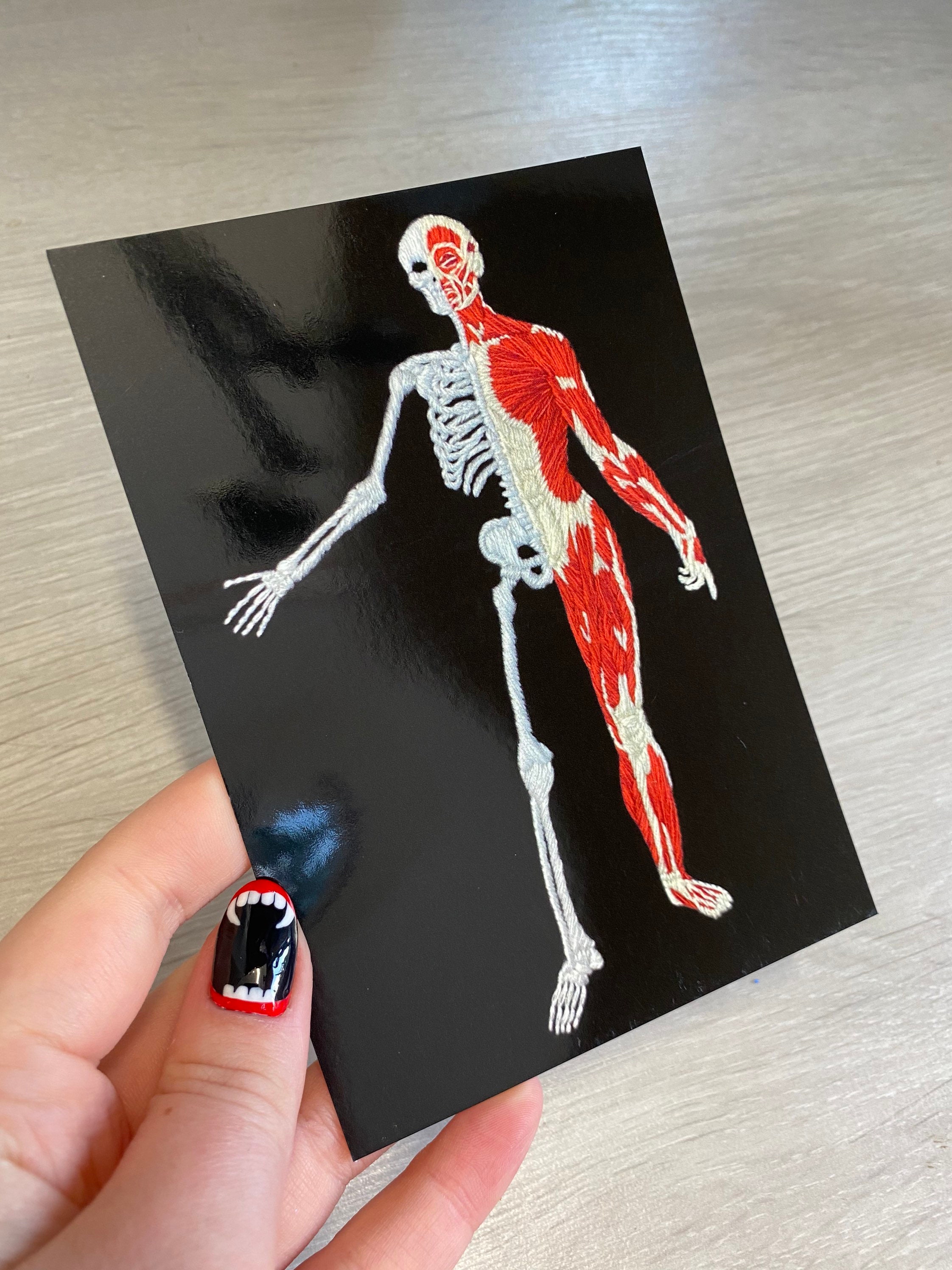 Half Skeleton Half Muscle Anatomical Figure Embroidery A6 Print - Etsy