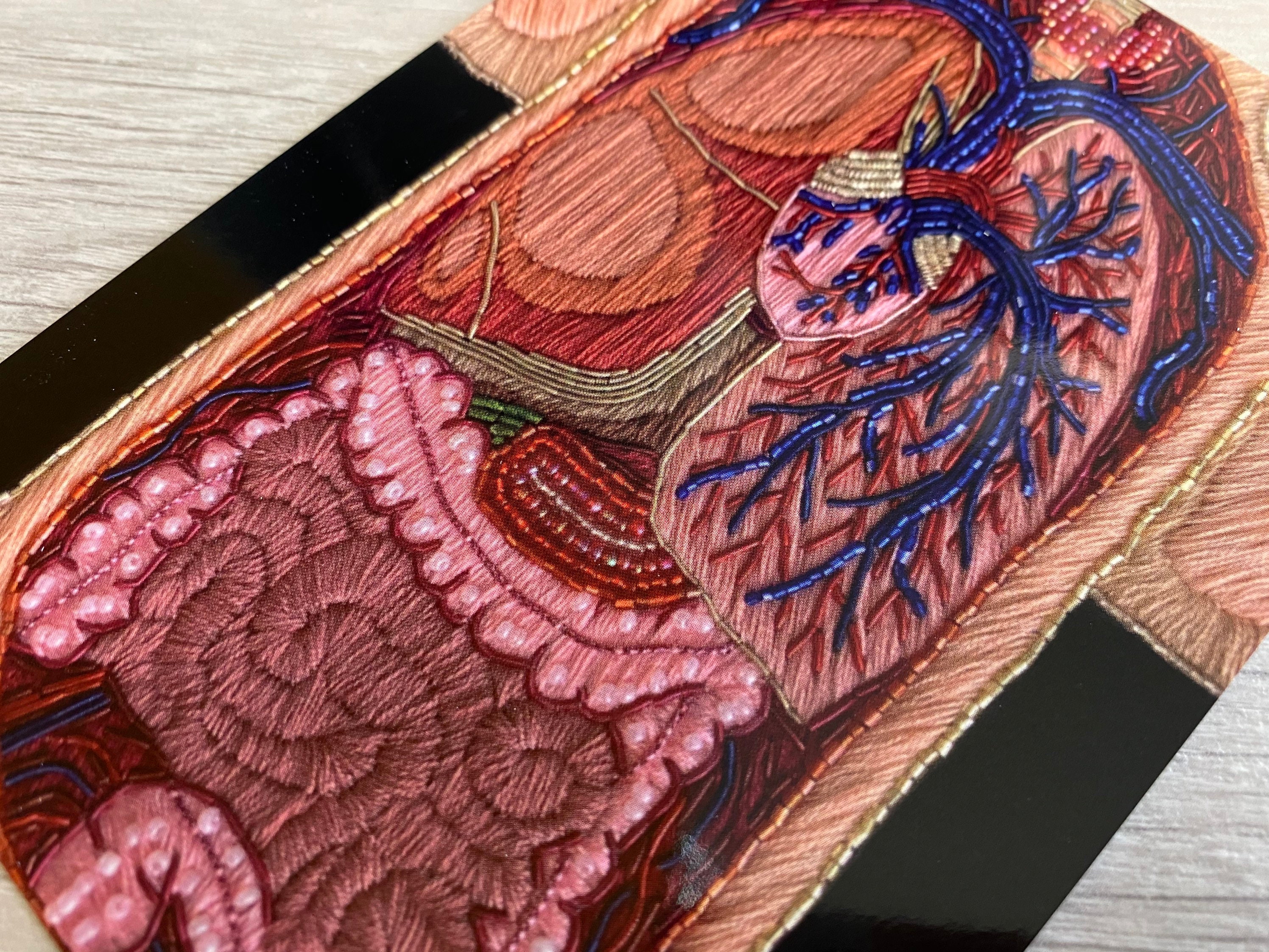 Open Torso Organ Anatomy Embroidery A6 Print - Etsy