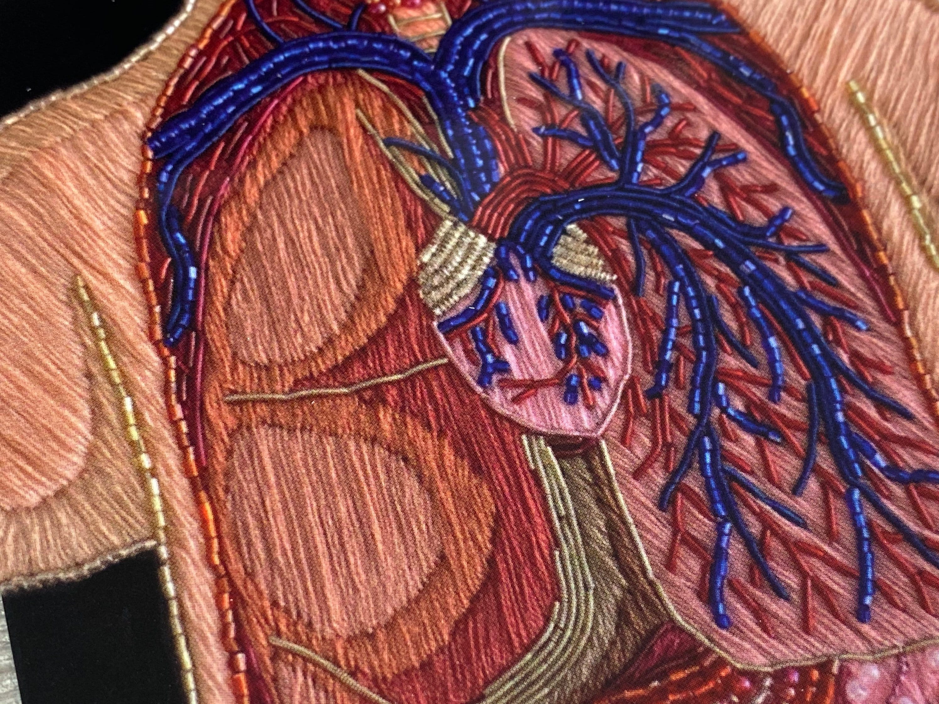 Open Torso Organ Anatomy Embroidery A6 Print | Etsy