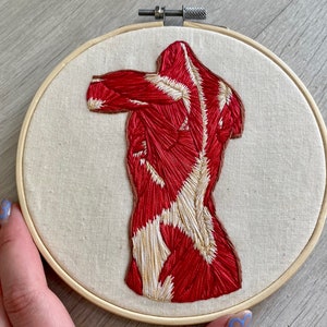 Musculoskeletal Back Anatomy Embroidery Pattern - DIY Digital PDF ...