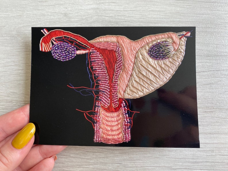 Uterus Anatomy Embroidery A6 Print - Etsy