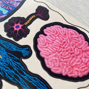 Neurological Anatomical A6 Sticker Sheet. Embroidery, Neuron, Brain ...