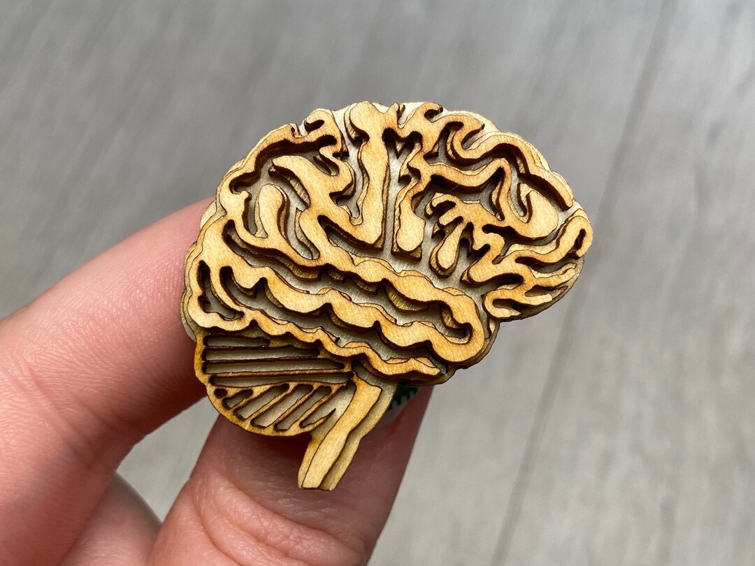 Brain. Anatomical Wooden Pin Badge Brooch. Laser Cut, Birch, Anatomy ...
