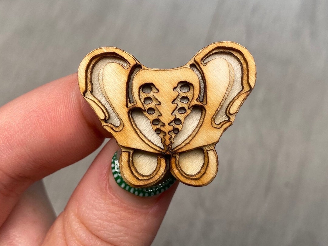 Pelvis. Anatomical Wooden Pin Badge Brooch. Laser Cut, Birch, Anatomy ...