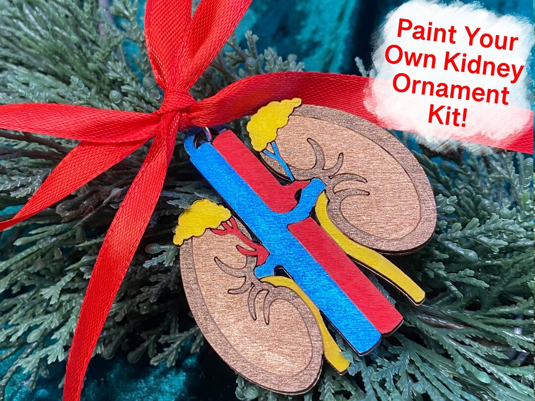 Kidneys Anatomical DIY Paint Your Own, Wooden Christmas Decoration ...
