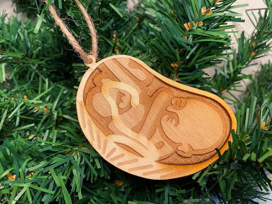 Fetus, Pregnancy Anatomy Wooden Christmas Ornament, Laser Cut, Made to ...