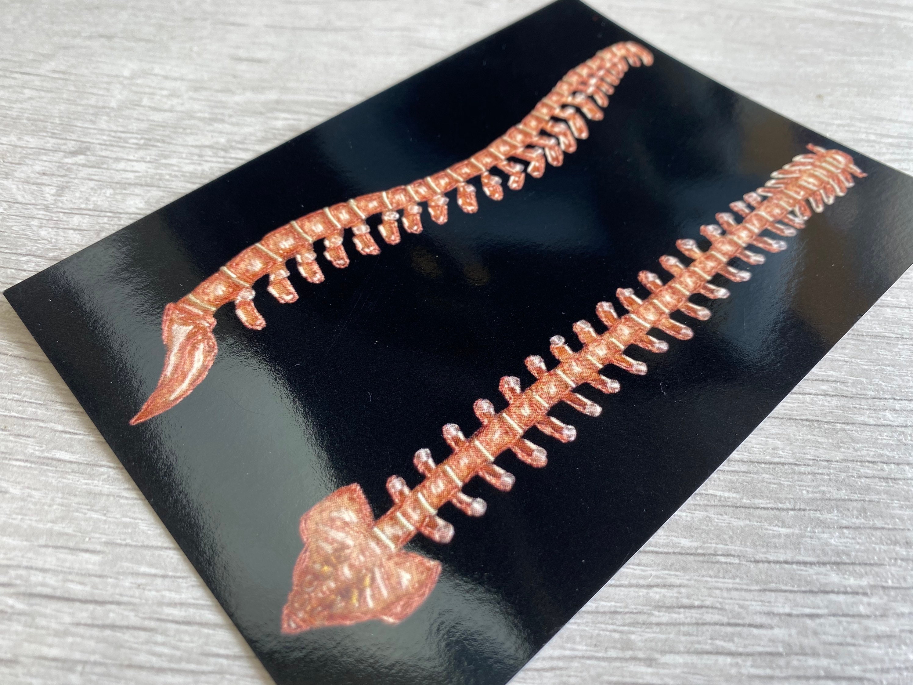 Spine Embroidery A6 Print | Etsy