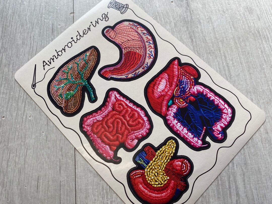 Digestion Anatomical A6 Sticker Sheet. Embroidery, Stomach, Liver ...