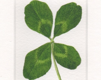 Four Leaf Clover (no. 10) - Botanical Watercolor Painting - Etsy