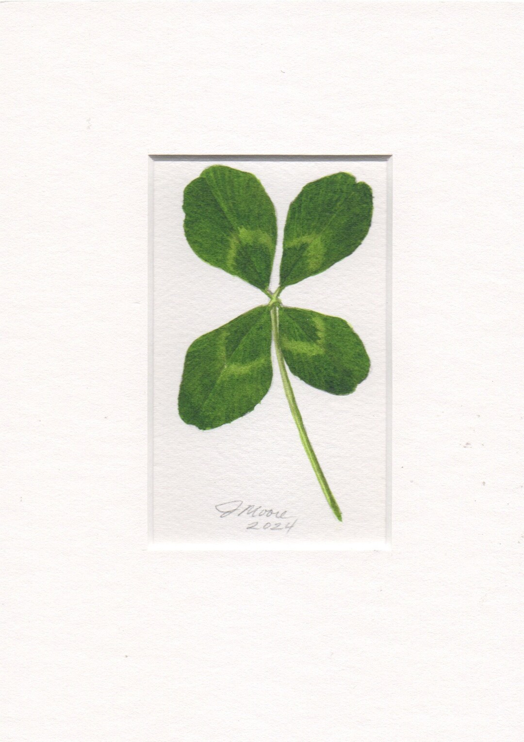 Four Leaf Clover (no. 18) - Botanical Watercolor Painting - Etsy