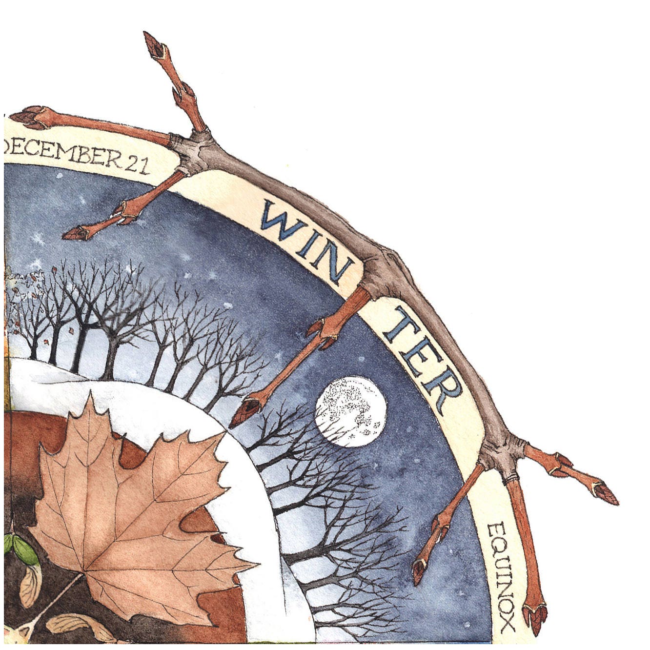 Maple Wheel - Etsy