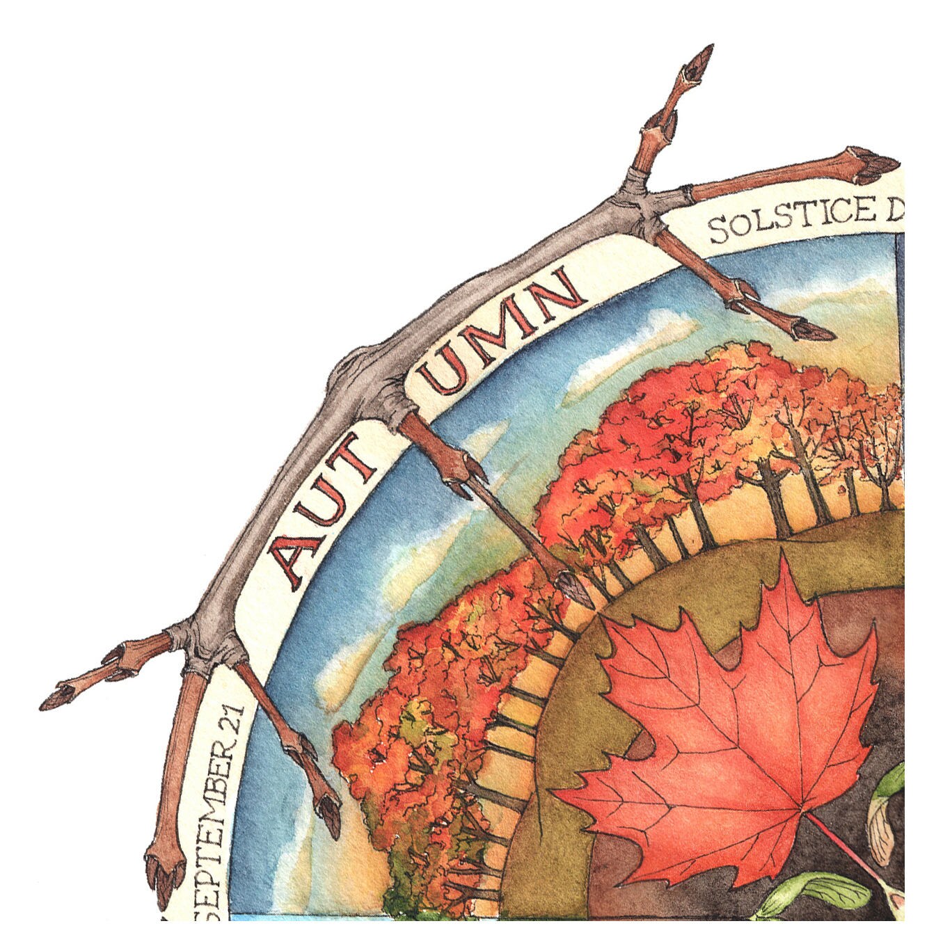 Maple Wheel - Etsy