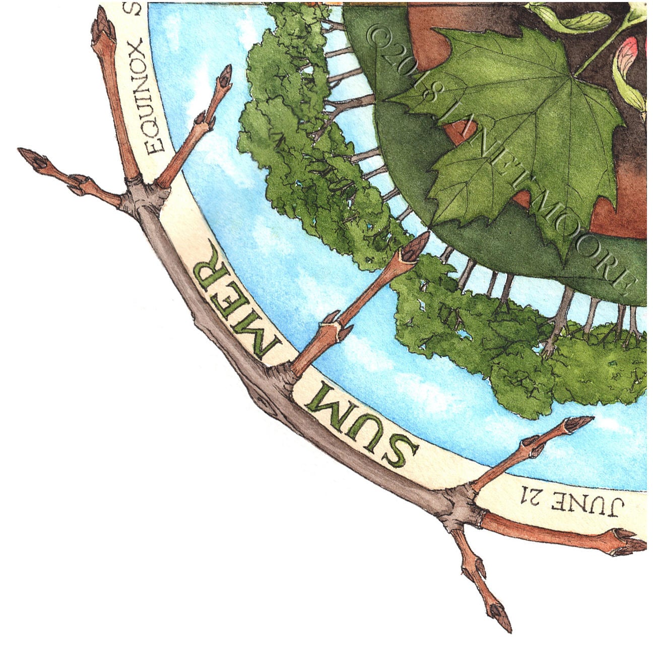 Maple Wheel - Etsy
