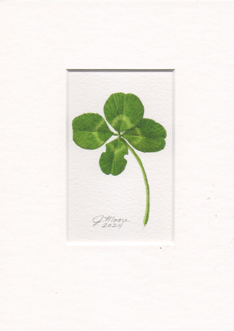 Four Leaf Clover (no. 10) - Botanical Watercolor Painting - Etsy