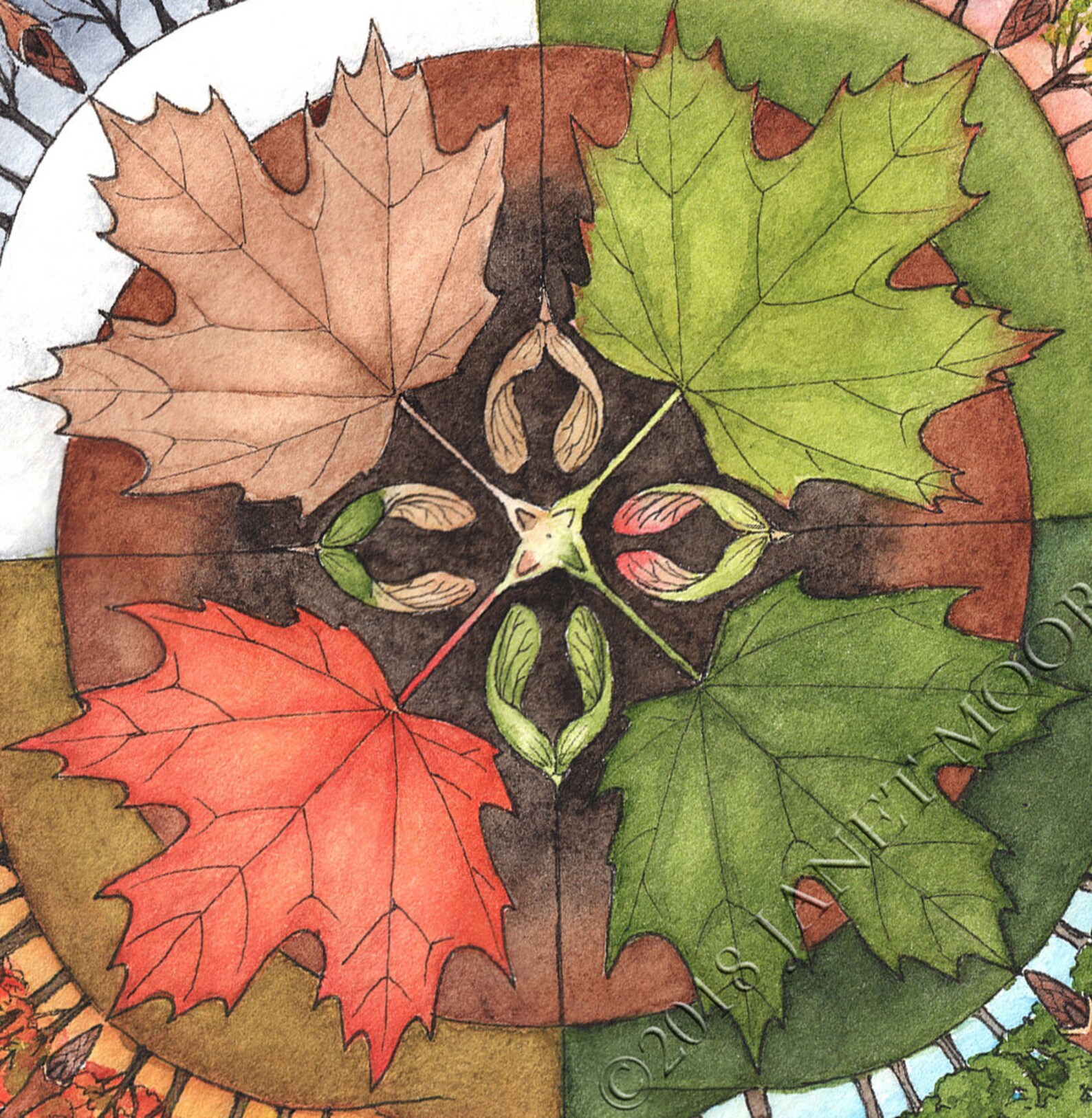 Maple Wheel - Etsy