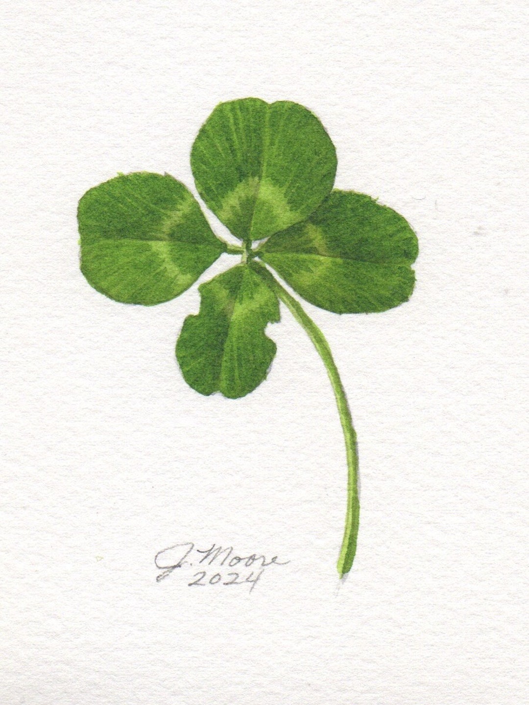 Four Leaf Clover (no. 10) - Botanical Watercolor Painting - Etsy