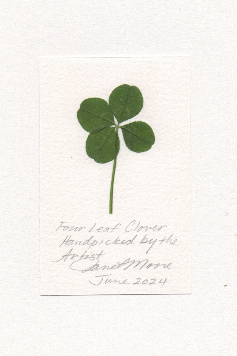 Four Leaf Clover no. 15 Botanical Watercolor Painting - Etsy