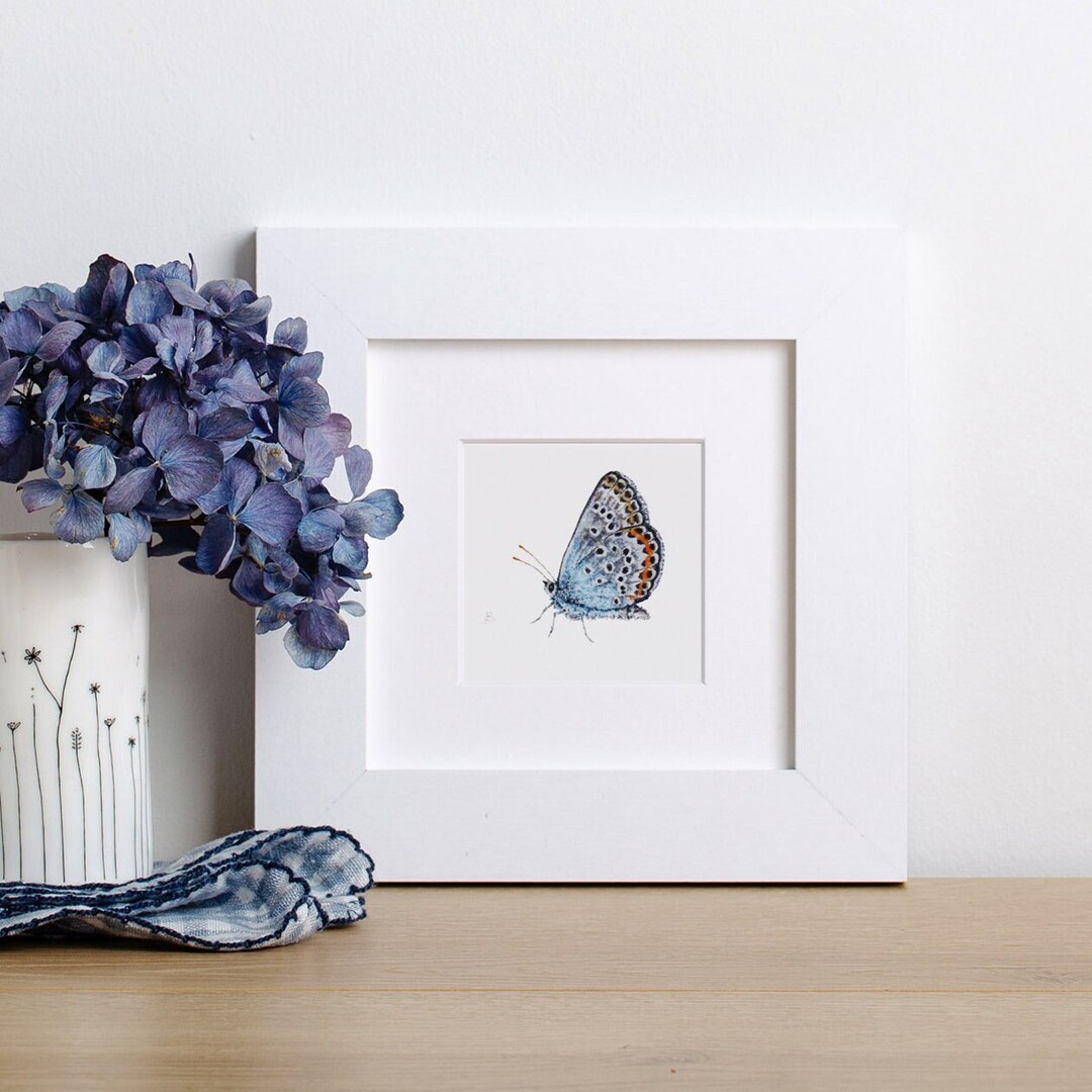 Small Art Print, Common Blue Butterfly Small Wall Art - Etsy