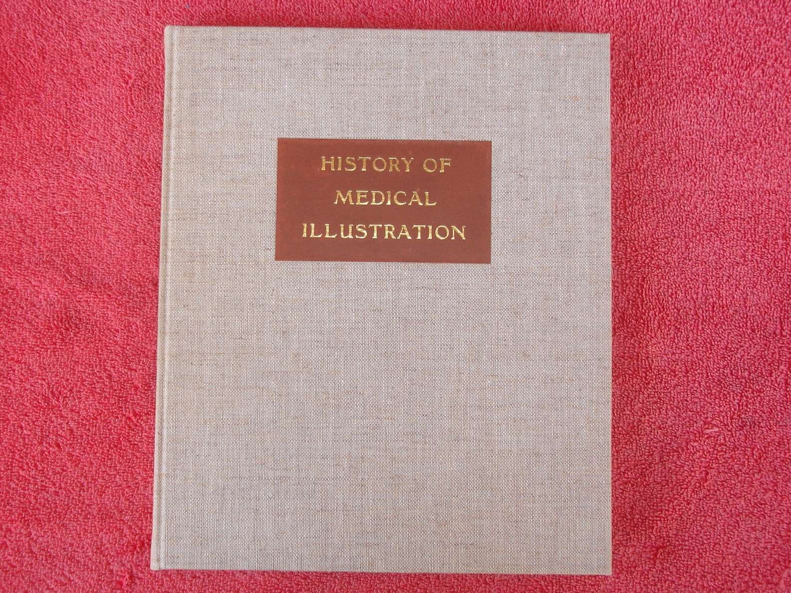 History of Medical Illustrations From Antiquity to 1600 Editions ...