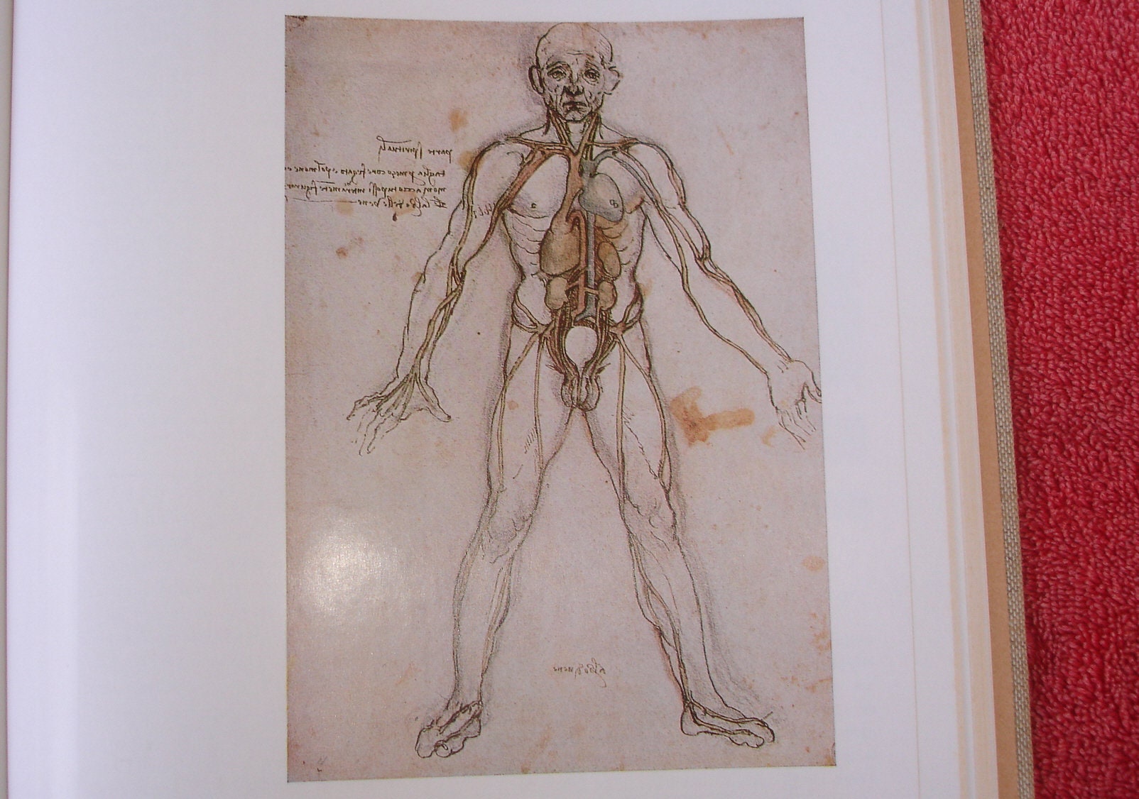 History of Medical Illustrations From Antiquity to 1600 Editions ...