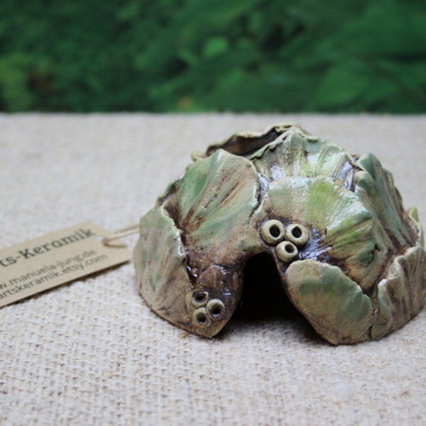 Red Reef Clay - Etsy