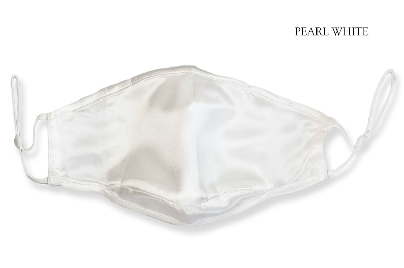 Triple Layer Silk Face Mask With Insert Pocket Earth - Etsy