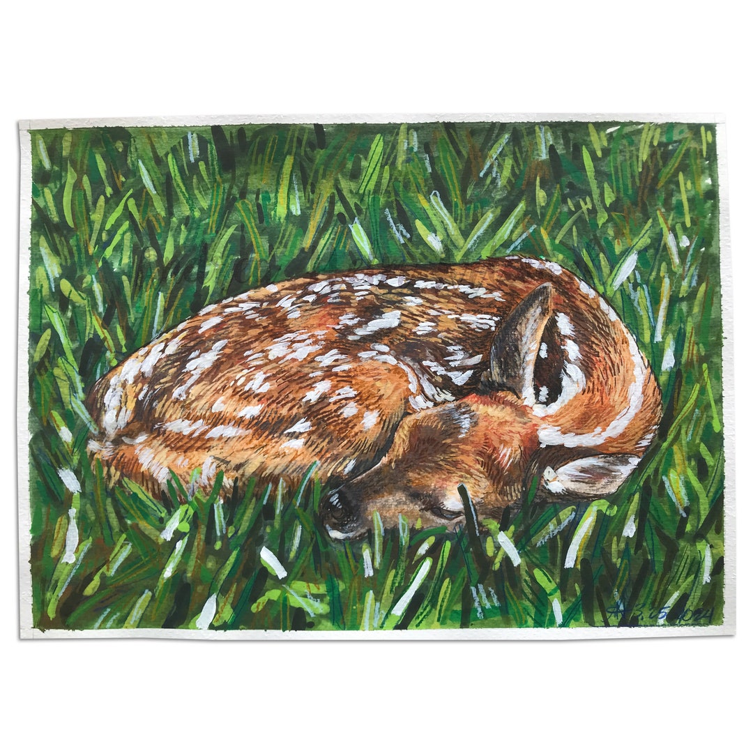 Baby Fawn Napping - Original Watercolor Painting 11x15 | Baby Animal ...