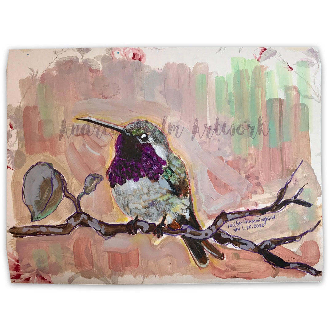 Lucifer Hummingbird Bird Painting | Original Bird Wall Art | Birds in ...